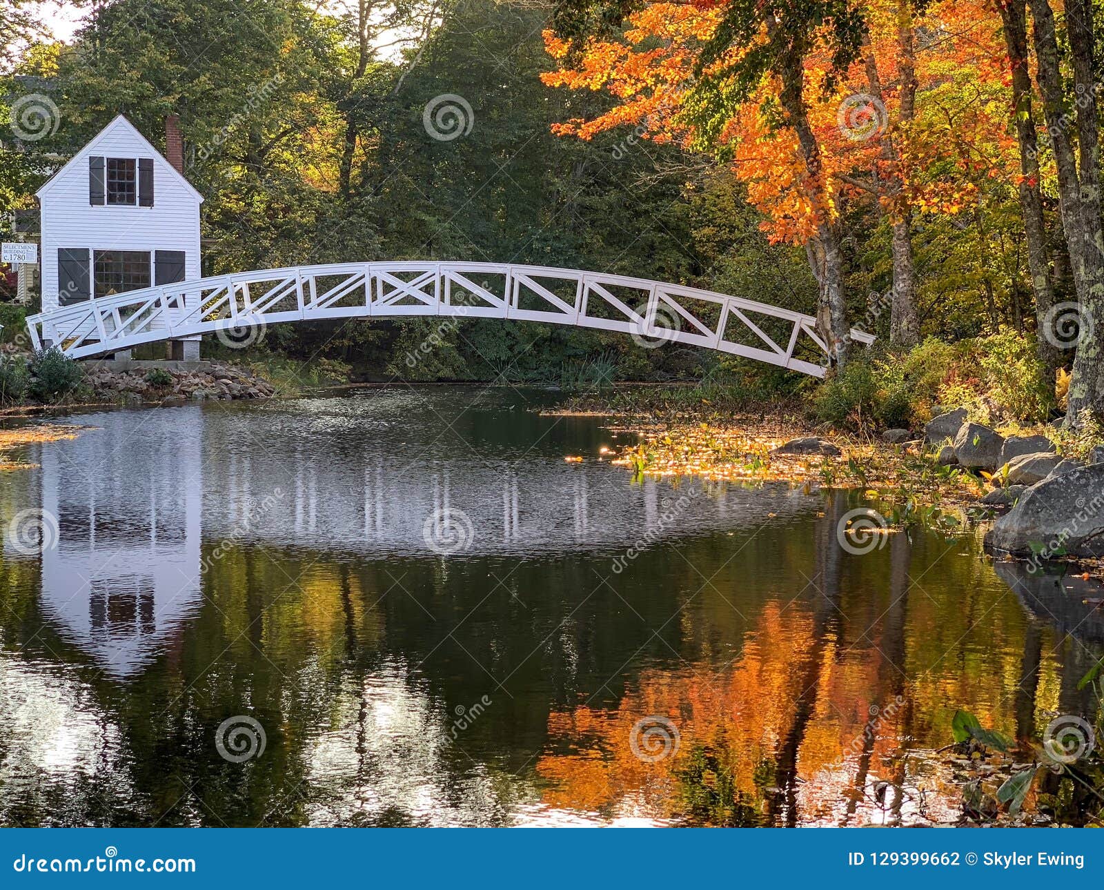 Autumn sunset colors stock photo. Image of nature, park - 129399662
