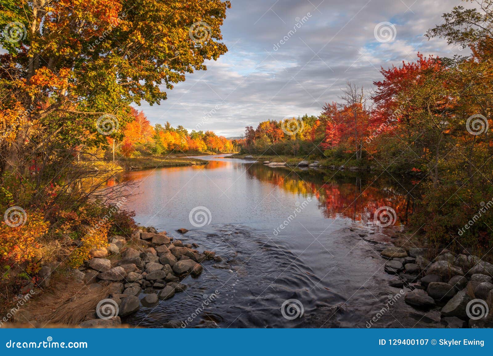 Autumn sunset colors stock image. Image of pond, forest - 129400107