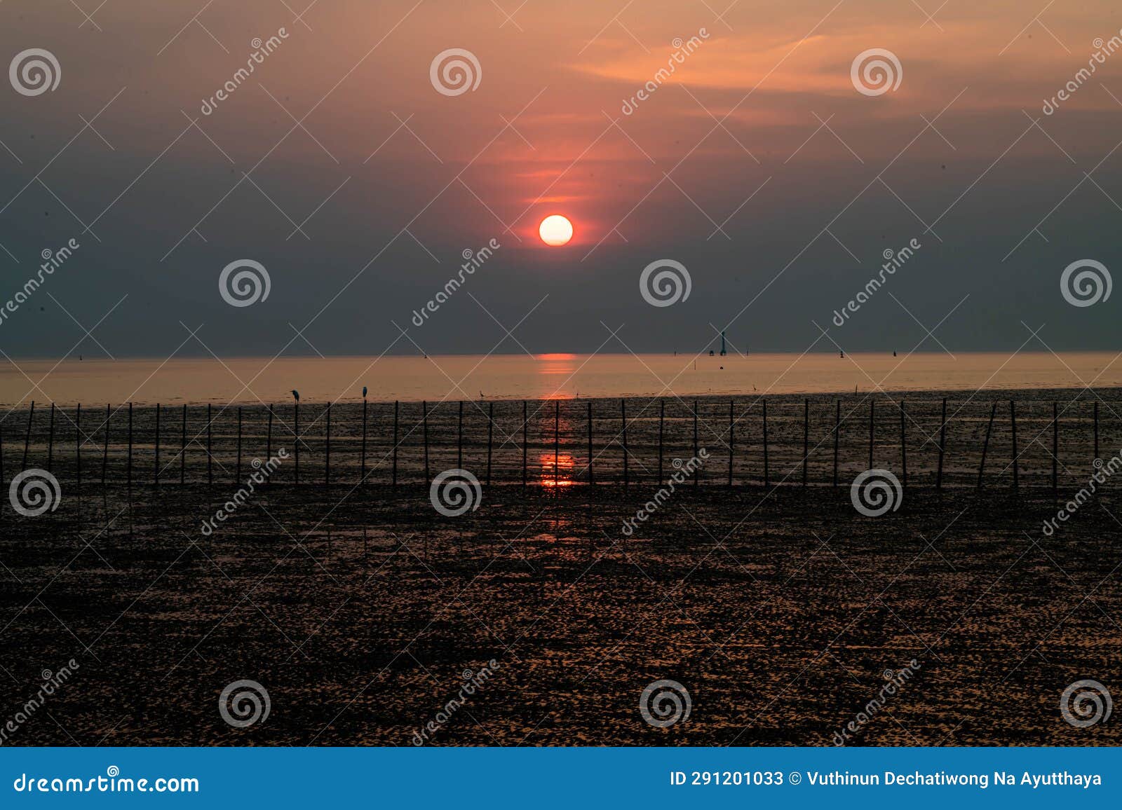 Landscape of Sunset in the Evening, Twilight Zone in Different ...