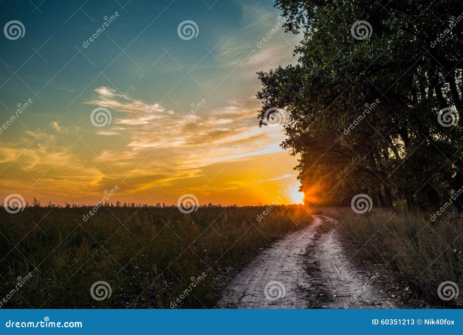 Landscape Sunset Over Field Stock Image - Image of bright, gold: 60351213