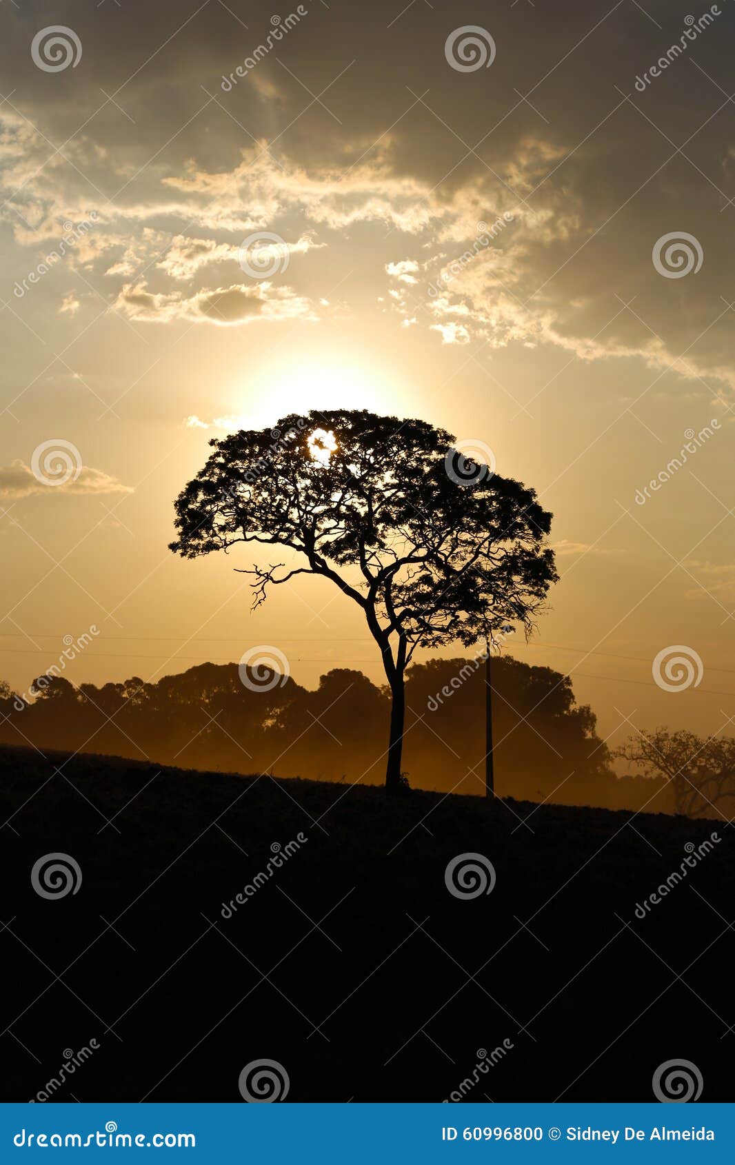 Landscape with sunset stock photo. Image of tree, view - 60996800