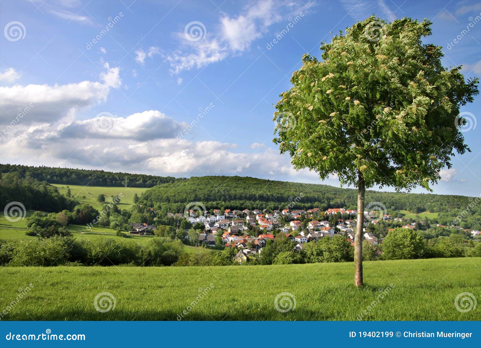 Landscape in the Taunus Mountains Stock Image - Image of germany ...