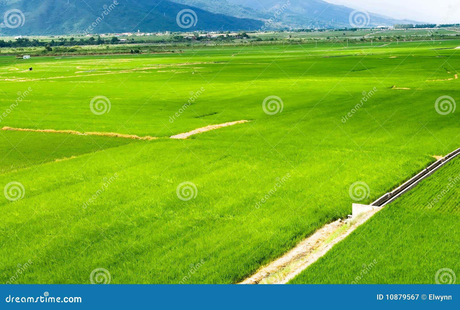 Landscape of Terraced Field Stock Image - Image of field, green: 10879567