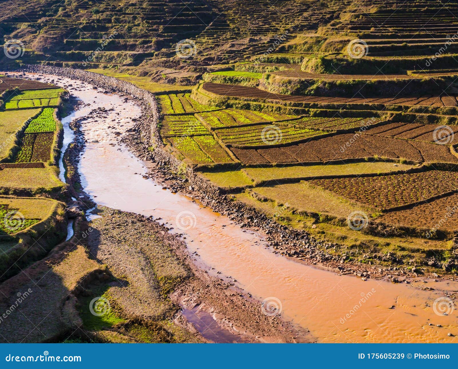 Landscape with Terraced Rice Paddy Fields in the Highlands of ...