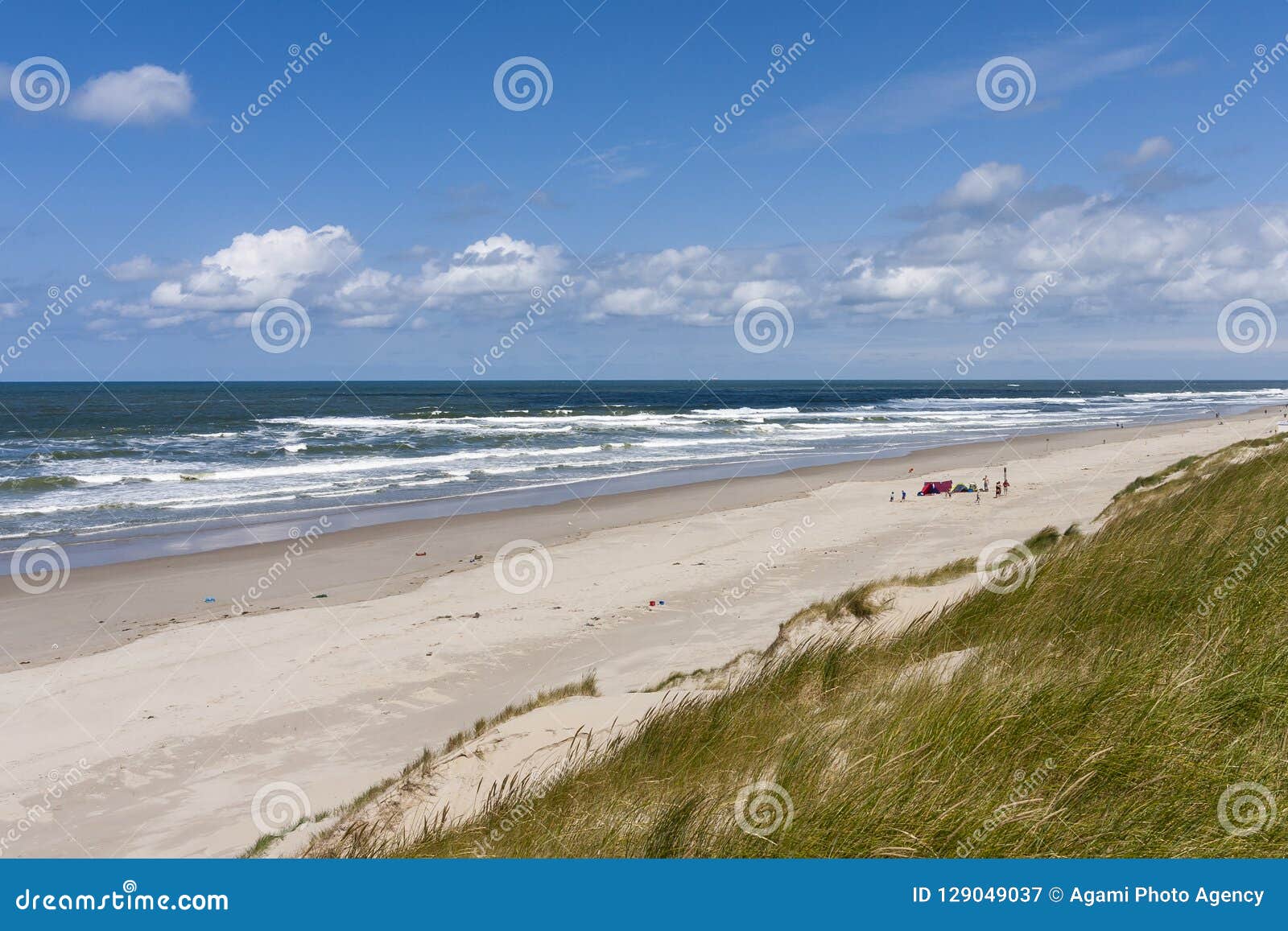 Landscape at Texel stock image. Image of noordholland - 129049037