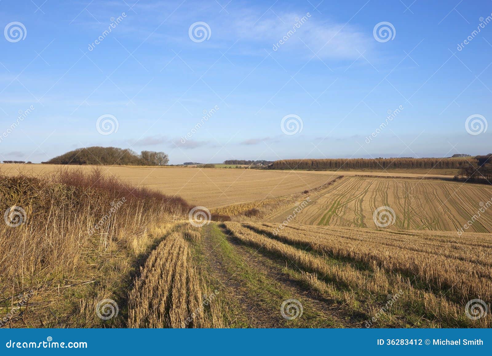 Landscape Texture and Patterns Stock Photo - Image of blue, countryside ...