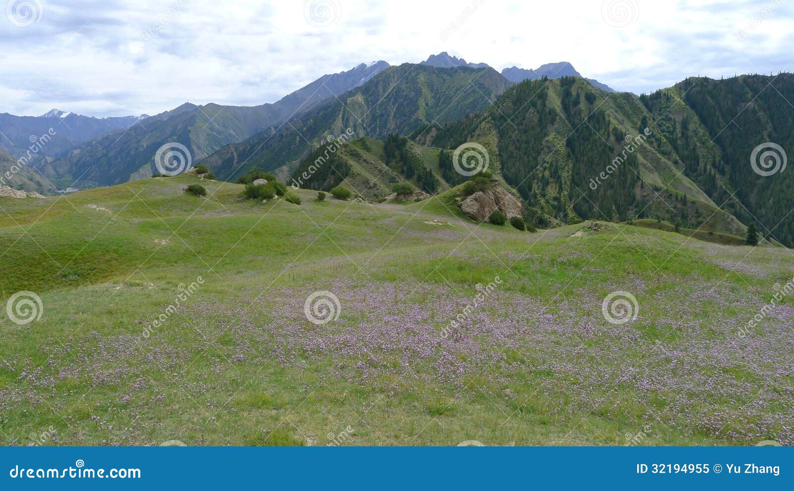 Landscape in Tianshan Mountain Stock Image - Image of color, season ...