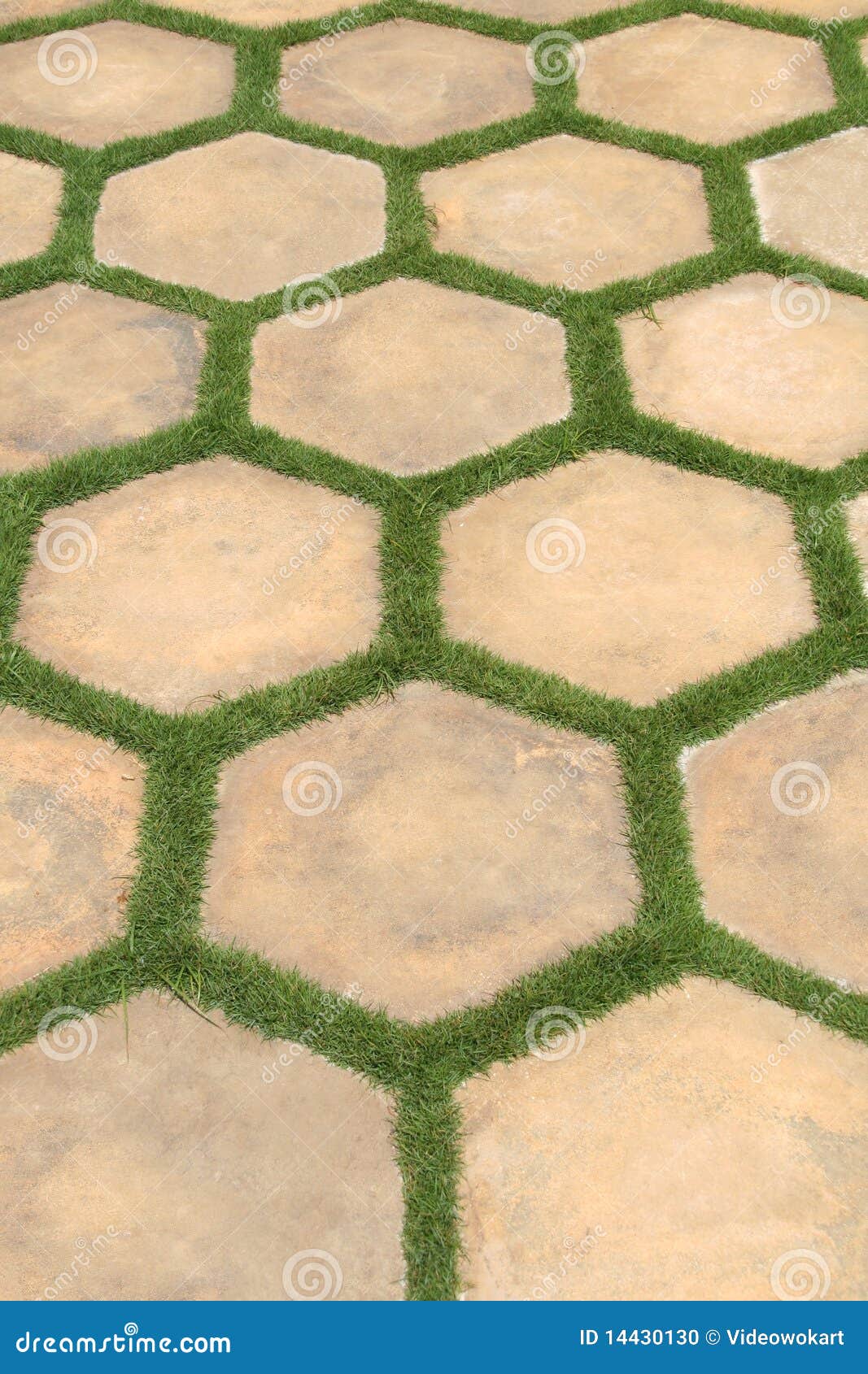Landscape tiles stock photo. Image of beautify, honeycombs - 14430130
