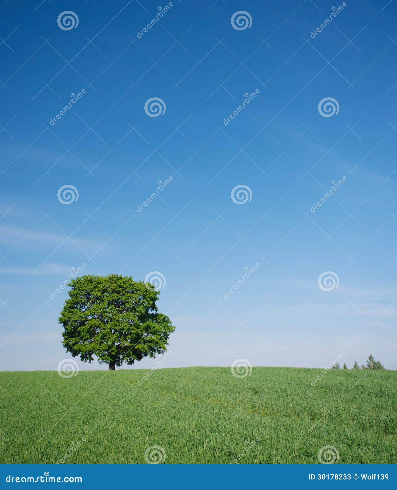 Landscape with a tree stock image. Image of distant, solitude - 30178233