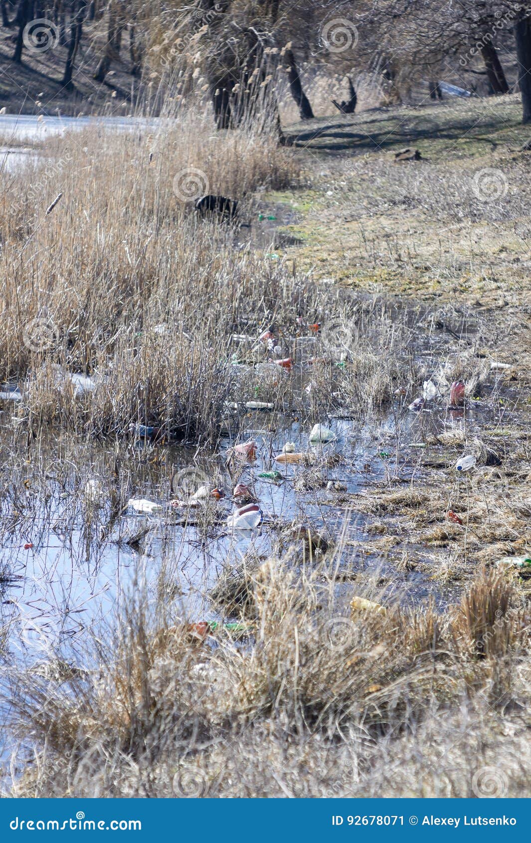 Landscape with trash stock image. Image of reed, conservation - 92678071