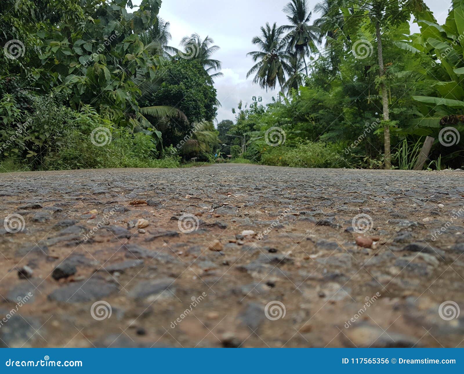 Rock road stock photo. Image of travel, road, landscape - 117565356