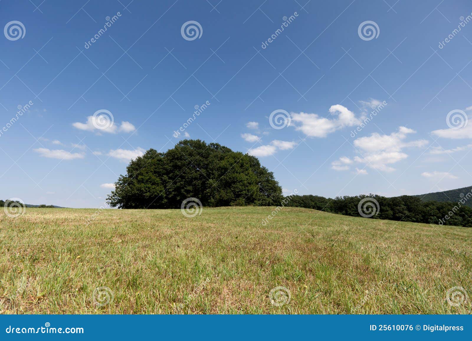 Landscape with tree area stock photo. Image of area, cumulus - 25610076