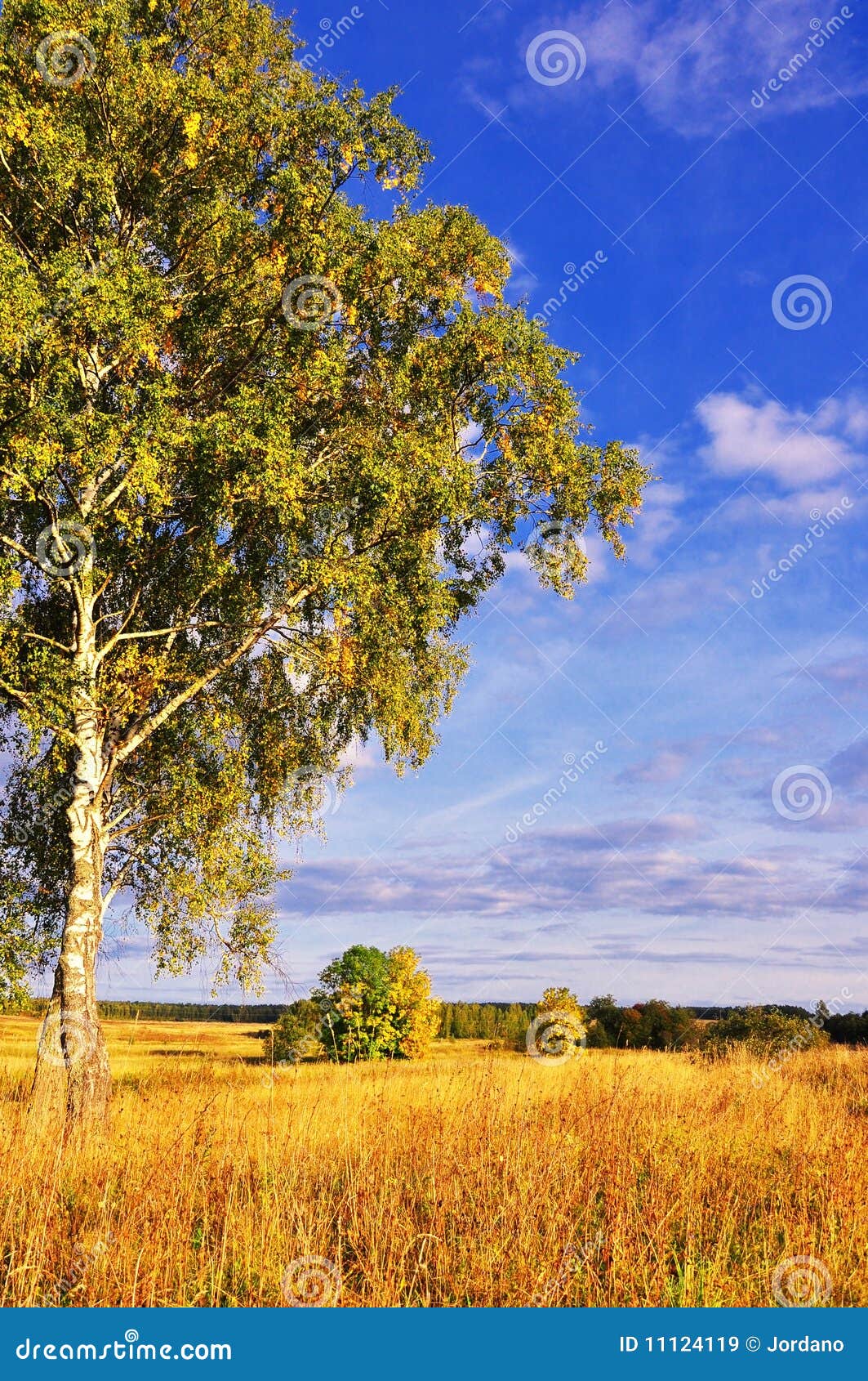 Landscape with Tree and Blue Sky Stock Image - Image of quiet, nature ...