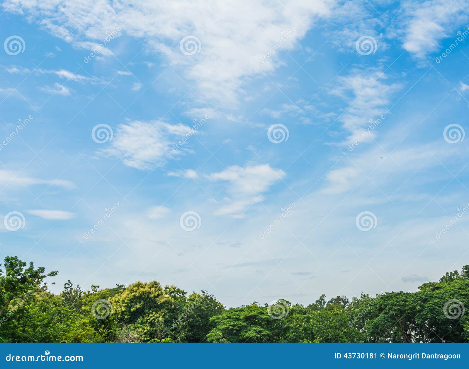 Landscape with Tree and Blue Sky Stock Image - Image of beautiful, park ...
