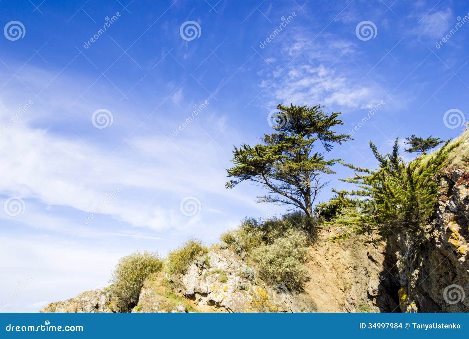 Landscape with a Tree on a Cliff Stock Photo - Image of point, cliff ...