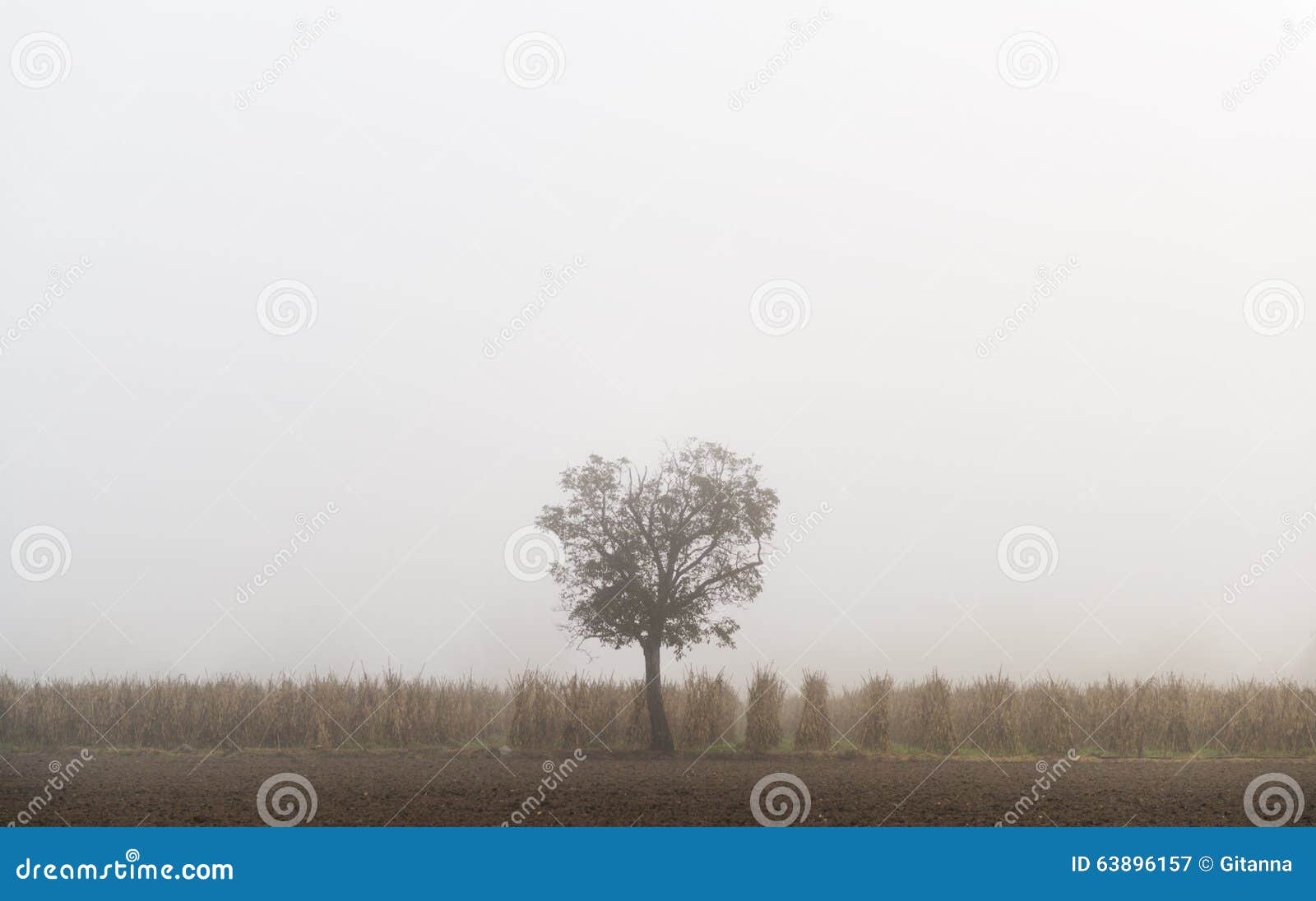 Landscape tree in fog stock image. Image of background - 63896157