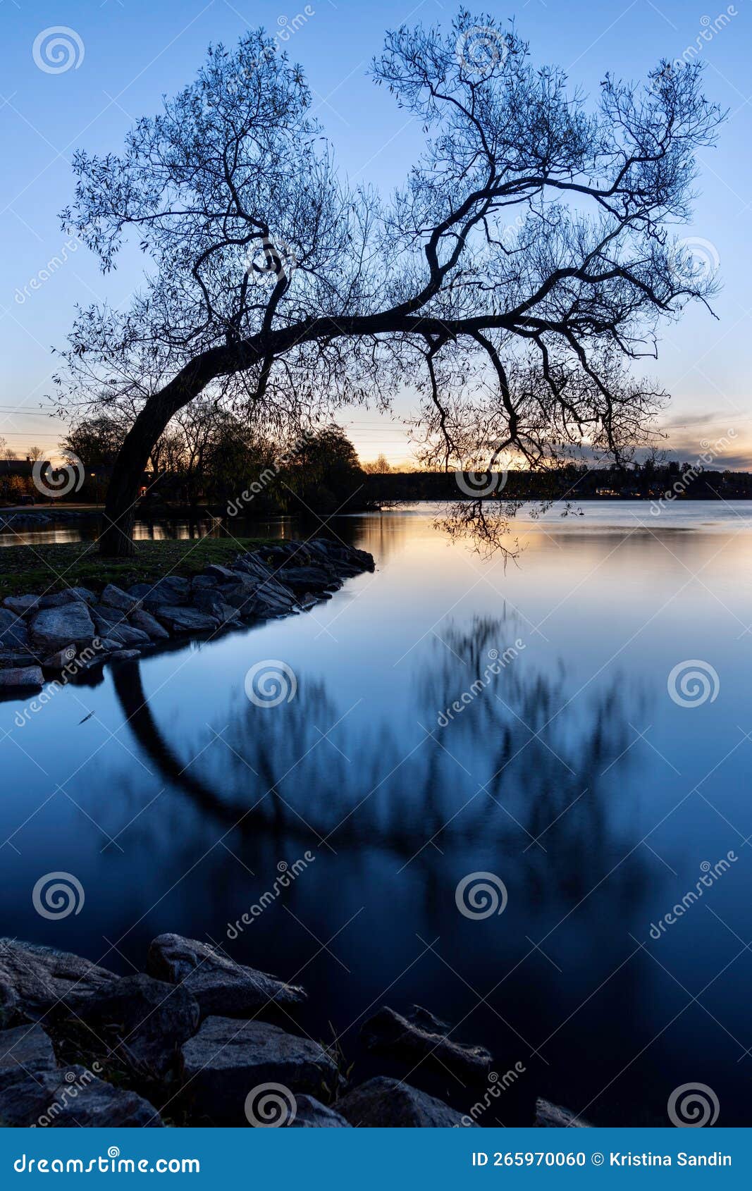 Landscape with a tree stock photo. Image of garden, sunlight - 265970060
