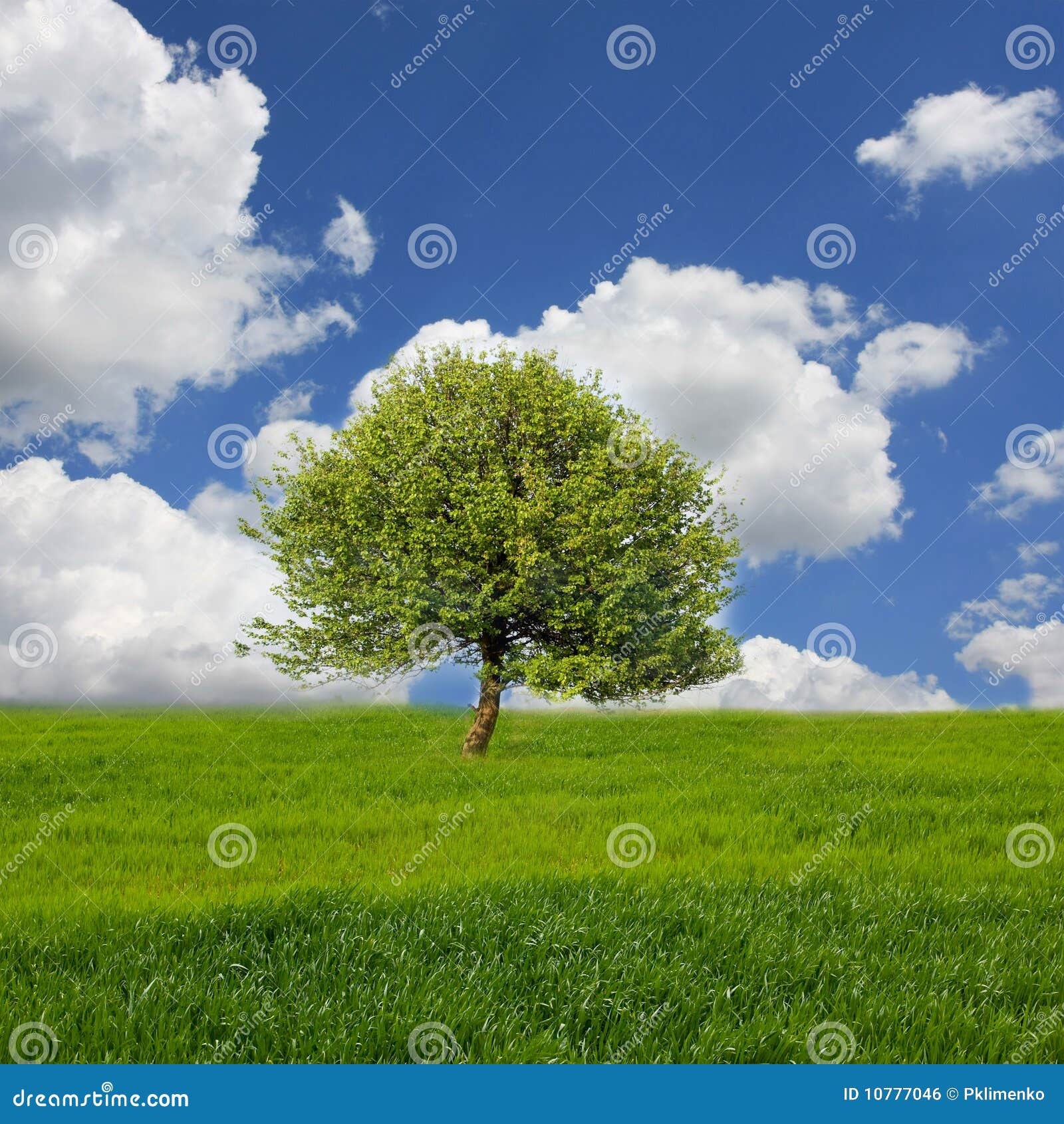 Landscape with Tree on Meadow Stock Photo - Image of cloud, horizon ...