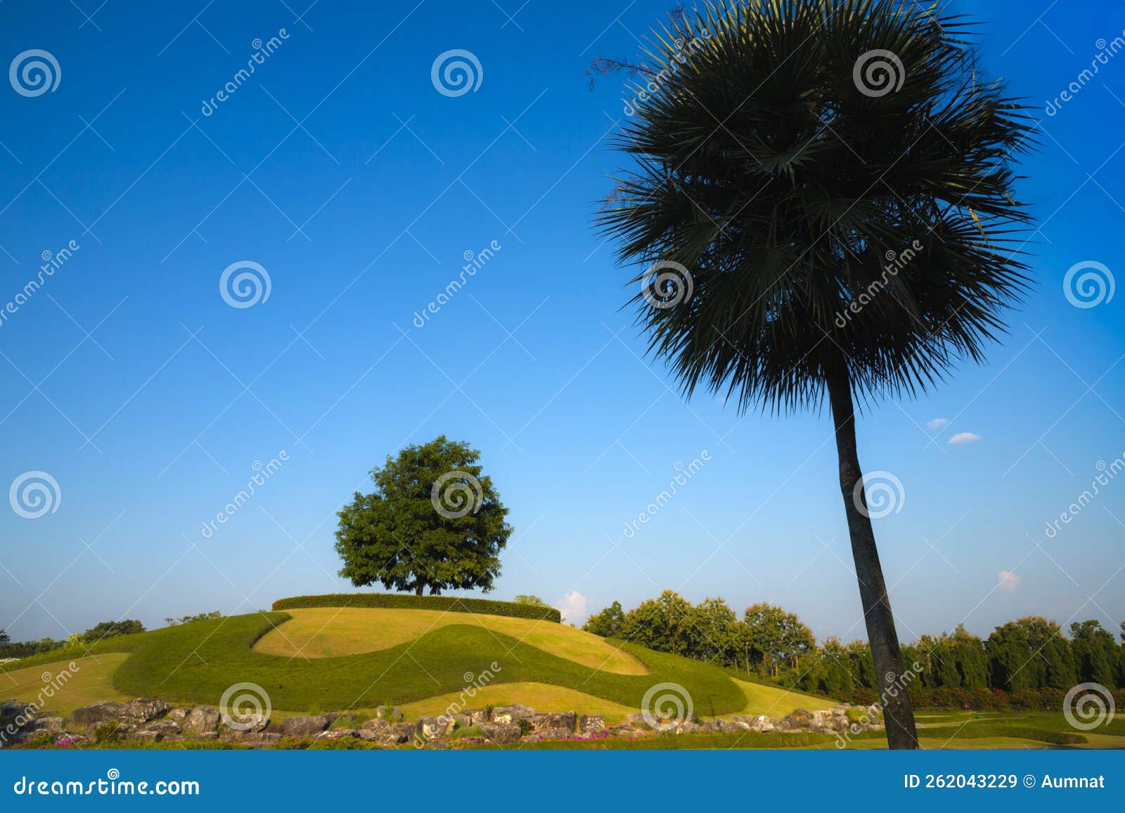 Landscape - Tree on the Mound on the Blue Sky Stock Image - Image of ...