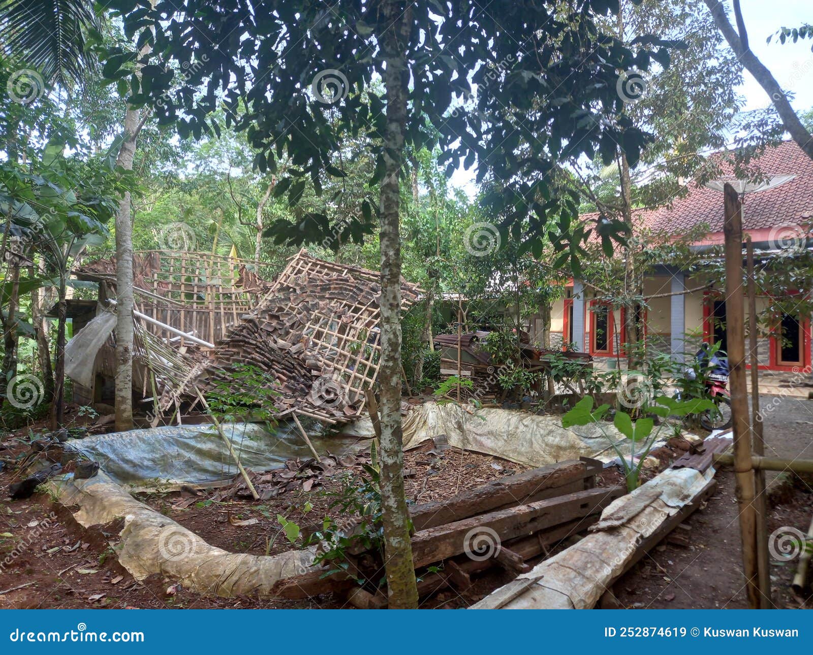 Landscape Tree and Sky in My House - Banyumas City Central Java ...