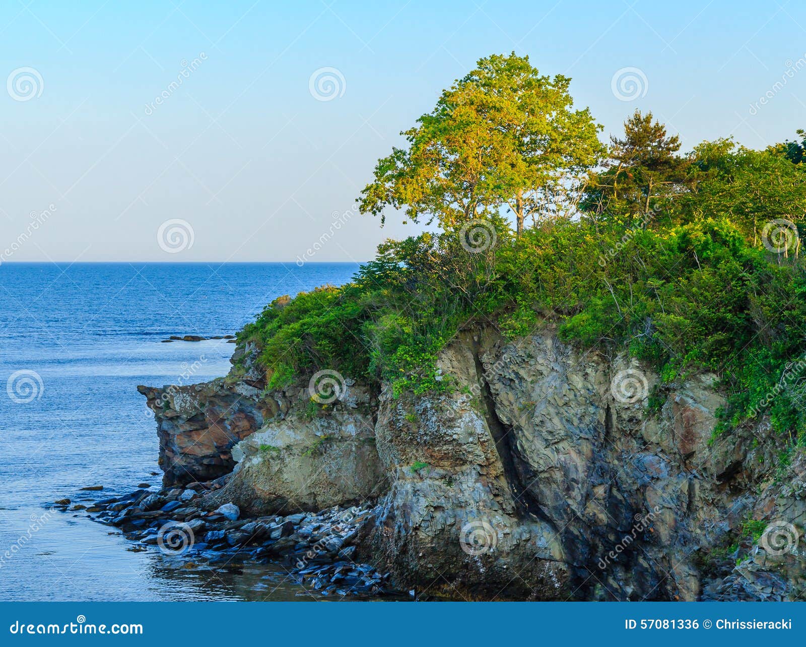 Landscape Tree on Ocean Cliff Stock Photo - Image of overlooking ...