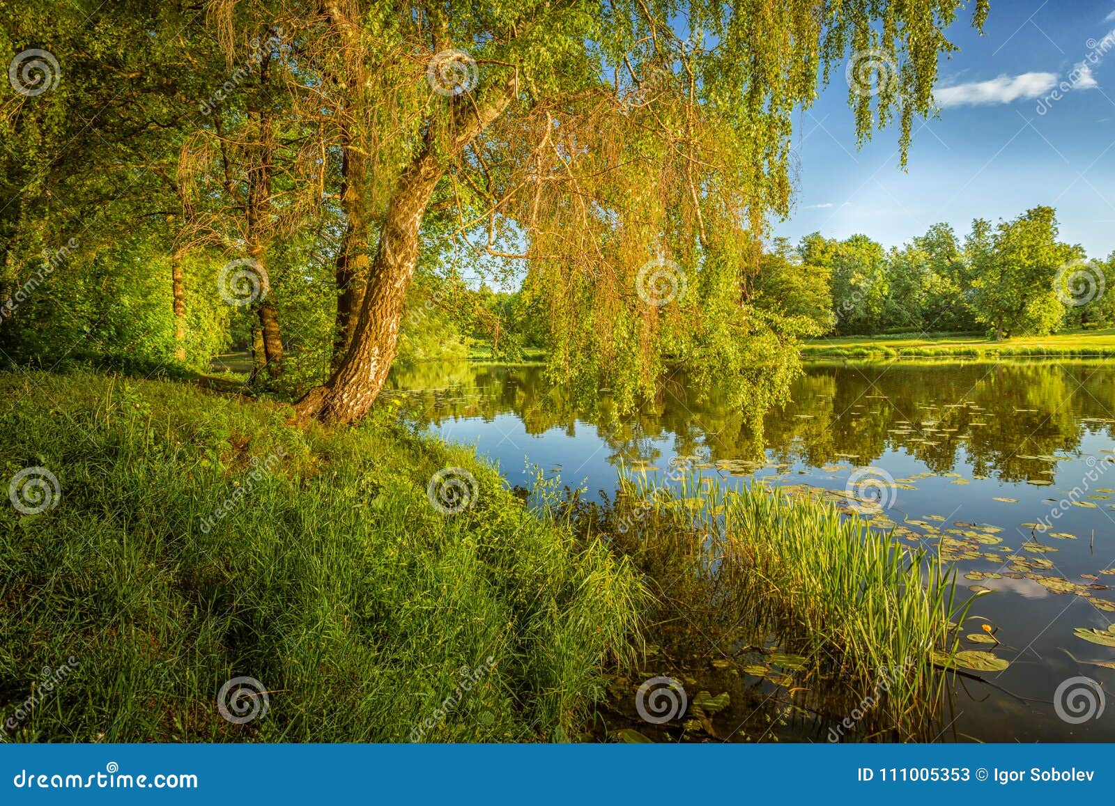 Landscape with a Tree by the River Stock Image - Image of river ...
