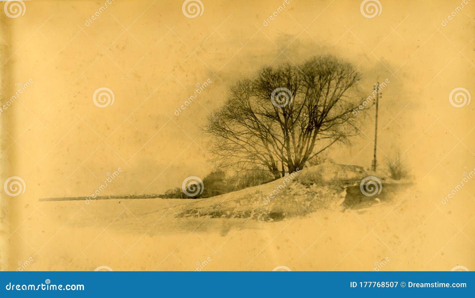 Landscape with a Tree in Sepia Stock Image - Image of retro, watercolor ...