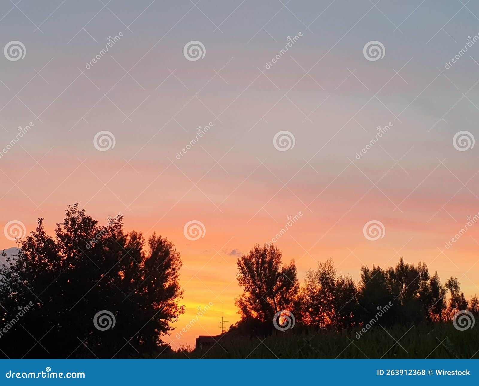 Landscape of Tree Shadows during a Beautiful Sunset in the Evening ...