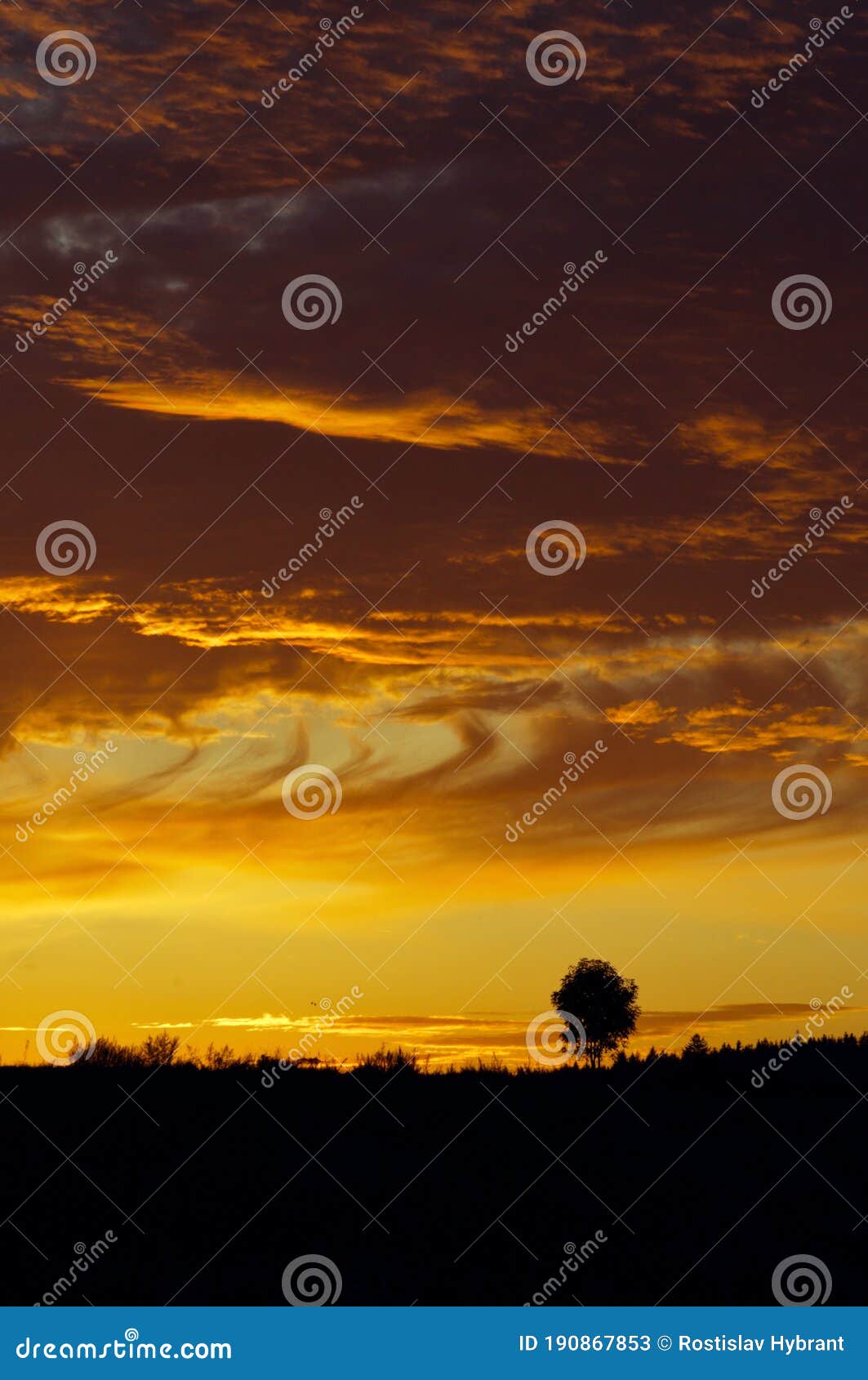 Landscape with a Tree at Sunset Stock Image - Image of nature, lonely ...