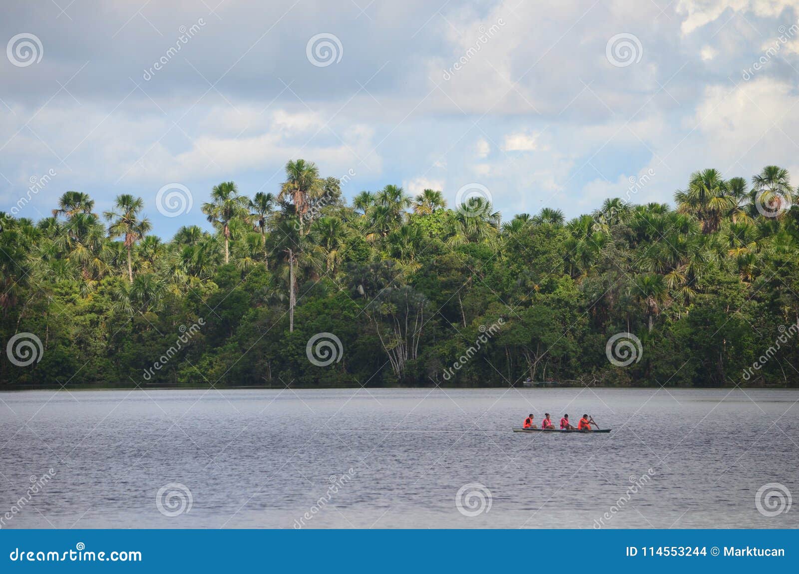Landscape of the Amazon Rainforest. Iquitos, Peru Editorial Stock Image ...