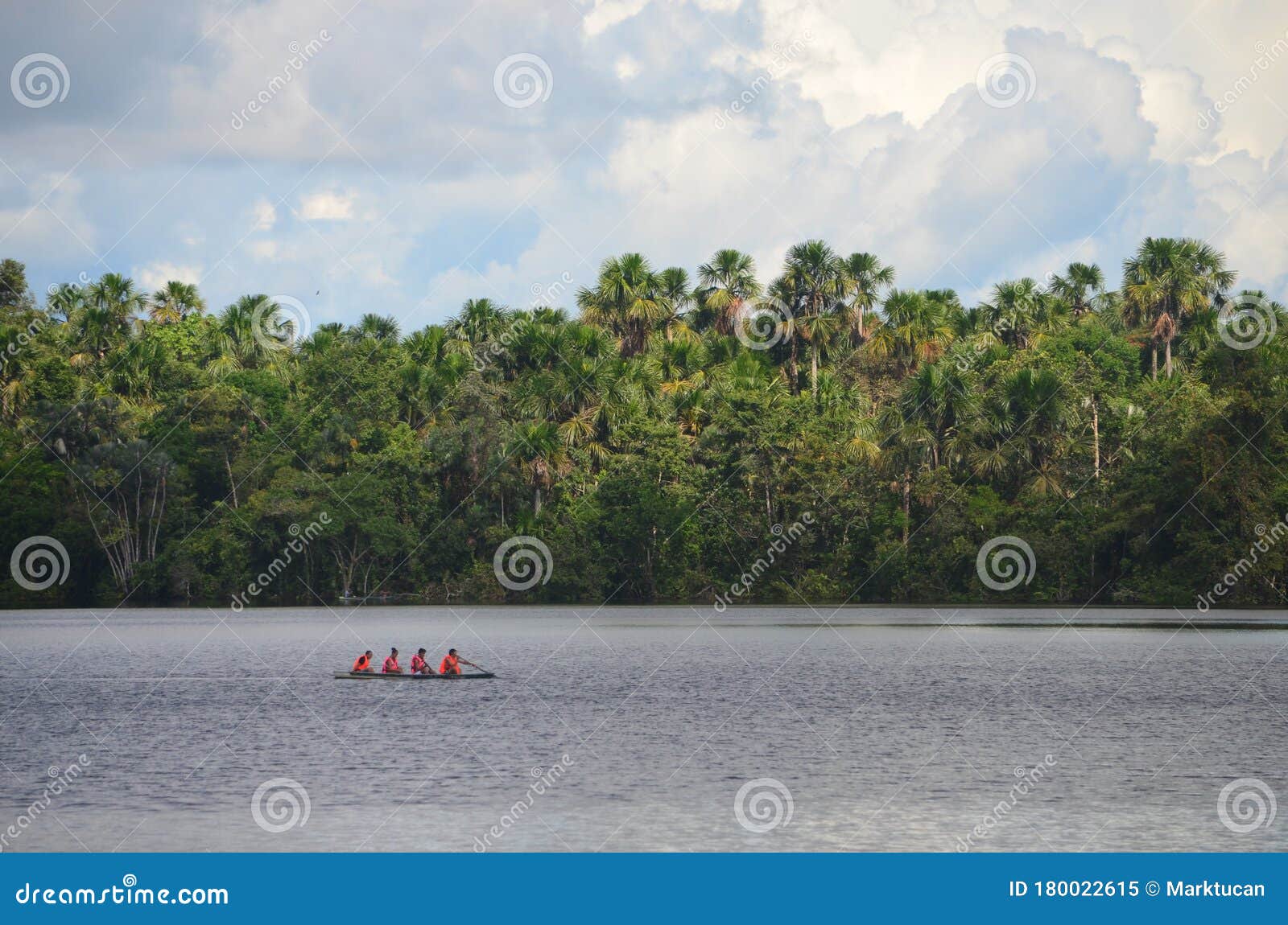 Landscape of the Treeline of the Amazon Rainforest, from the Amazon ...