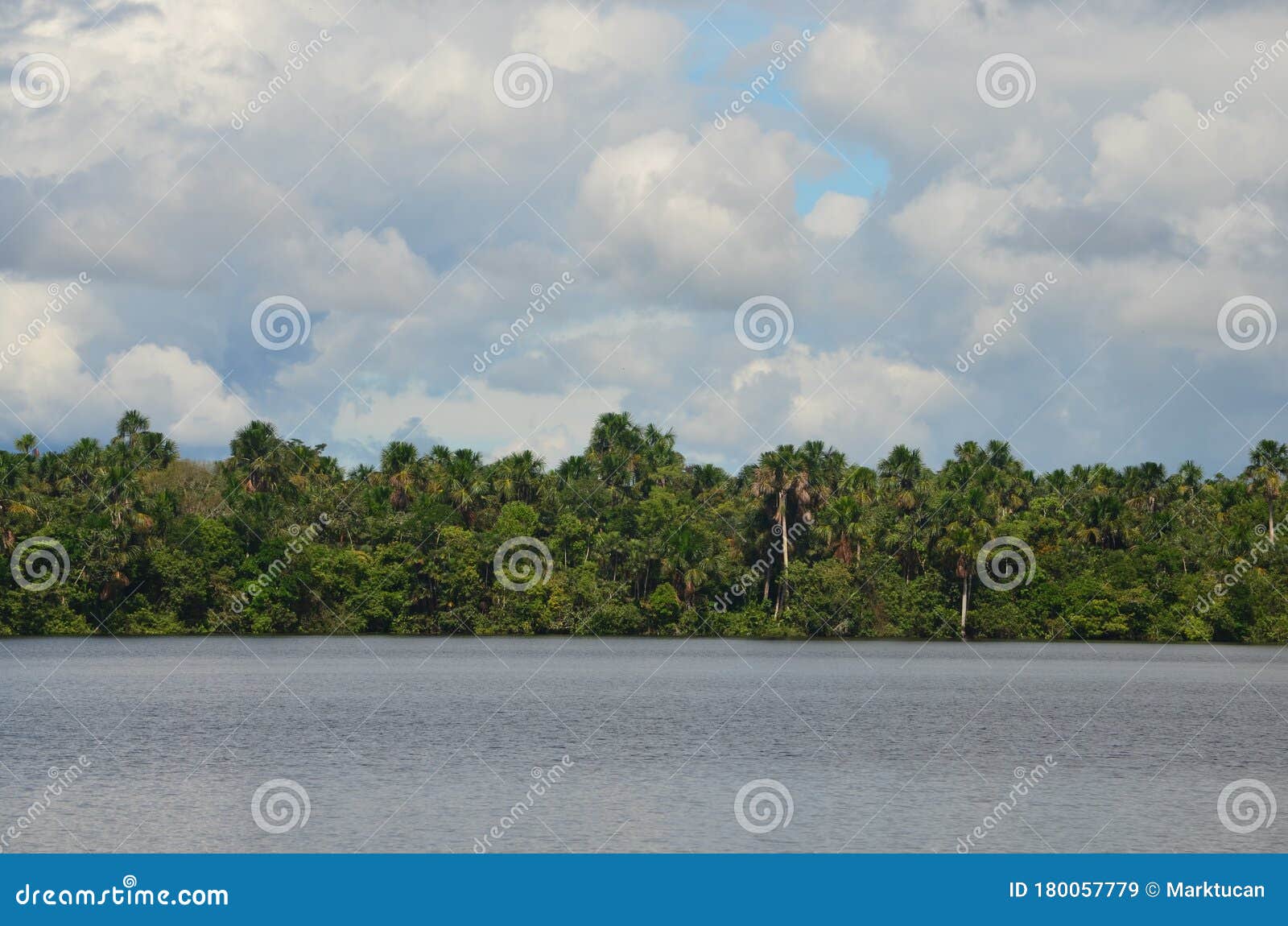 Landscape of the Treeline of the Amazon Rainforest. Iquitos, Peru Stock ...