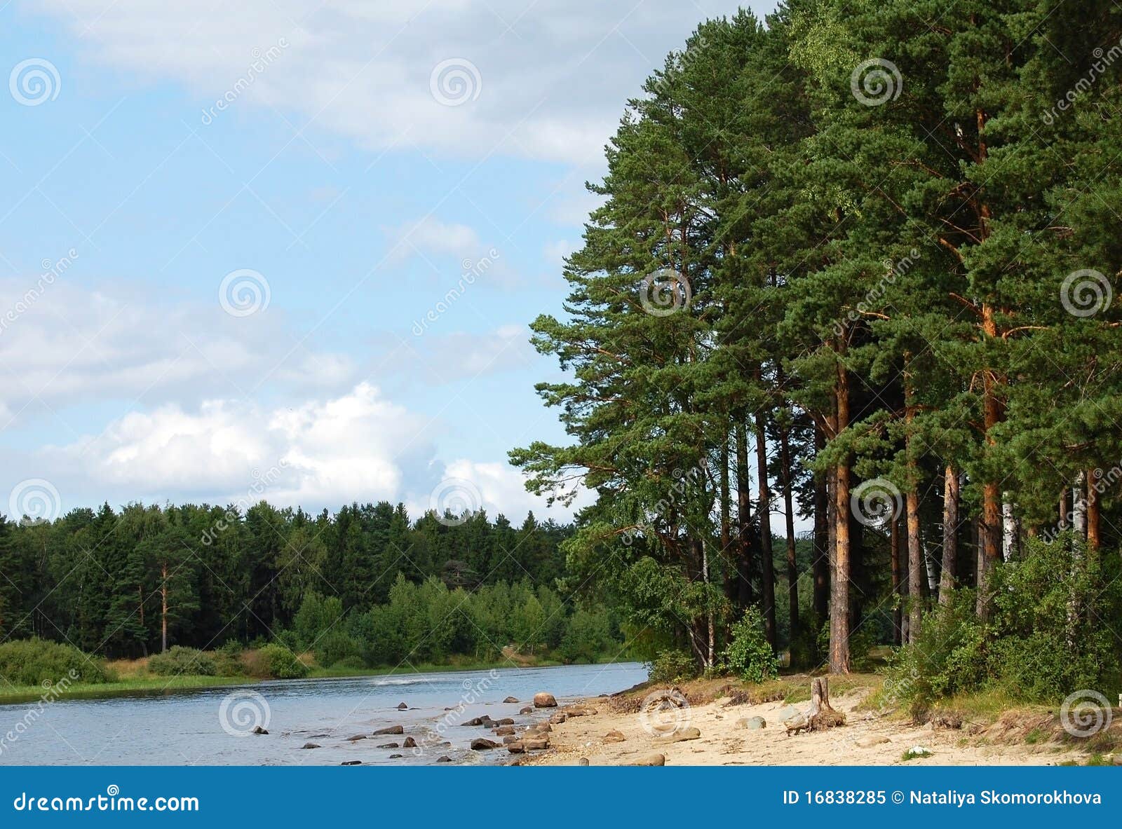 Landscape with trees stock image. Image of heavenly, sunset - 16838285