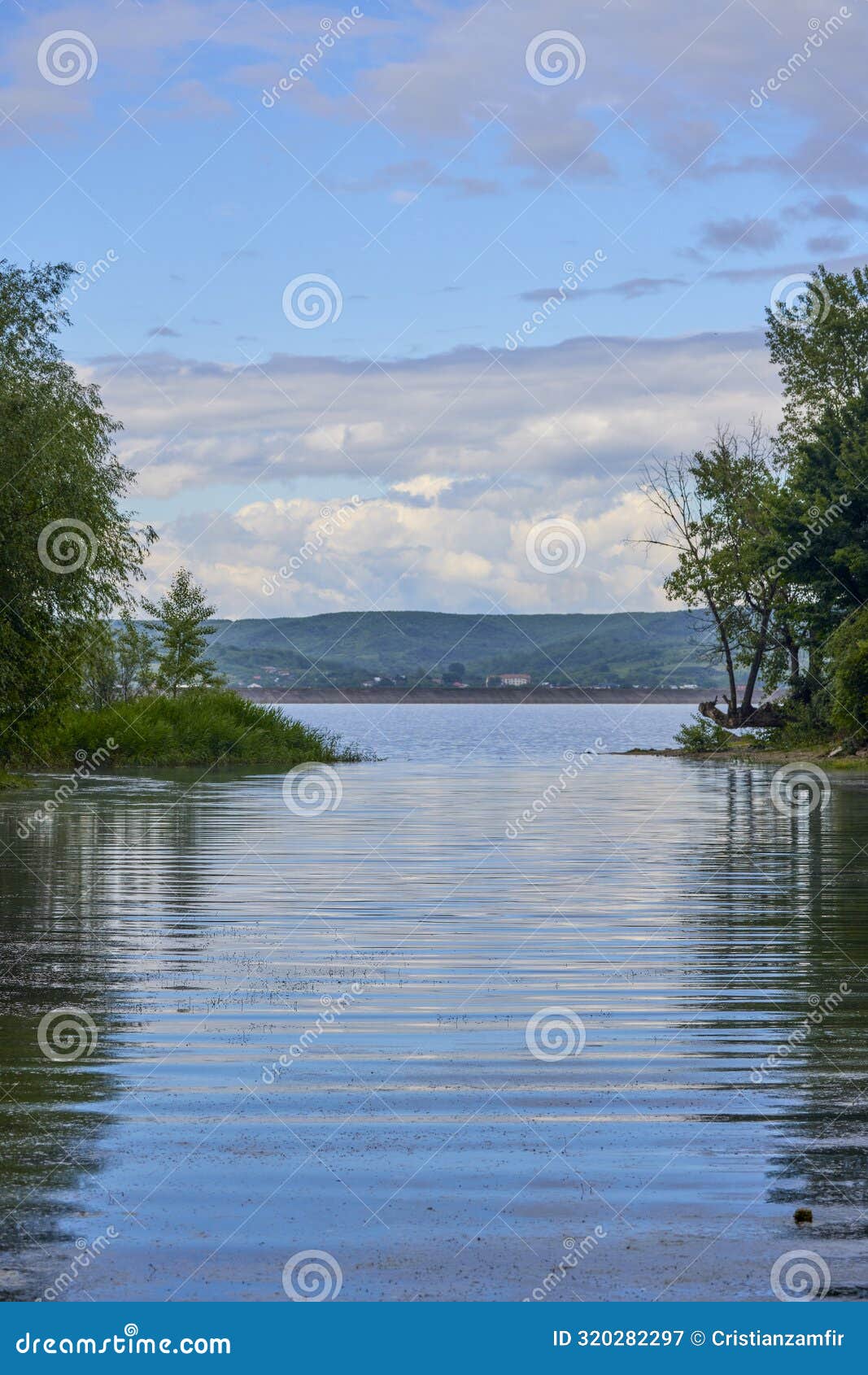Trees on the Edge of a Lake Stock Image - Image of lake, tourism: 320282297
