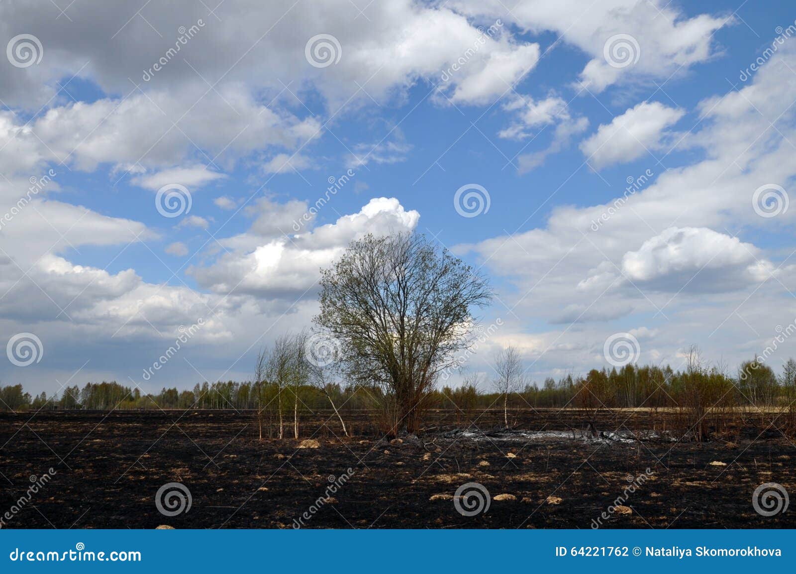 Landscape stock photo. Image of hill, field, panoramic - 64221762