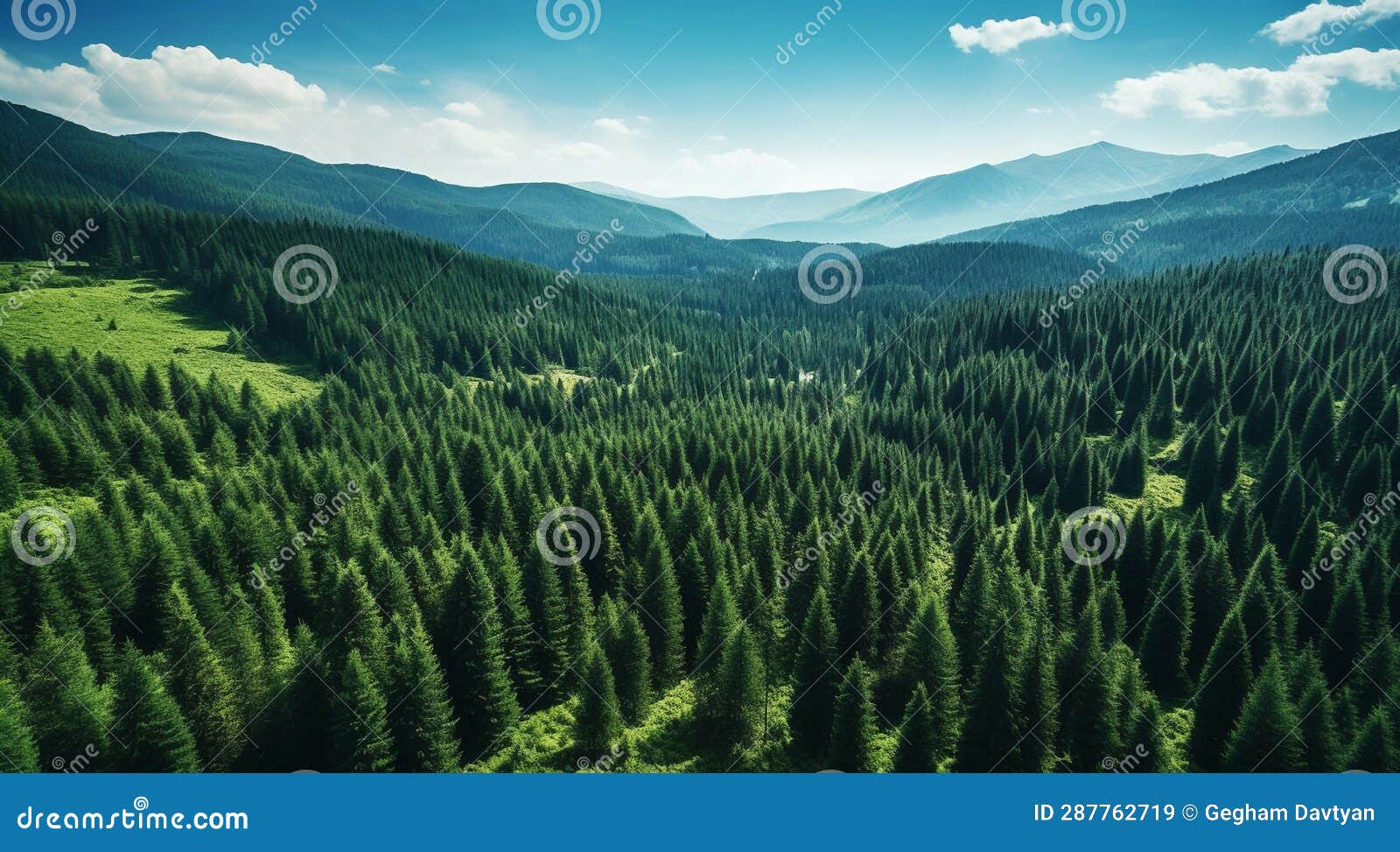 Landscape with Trees, Forest View, Tropical Forest View Stock ...