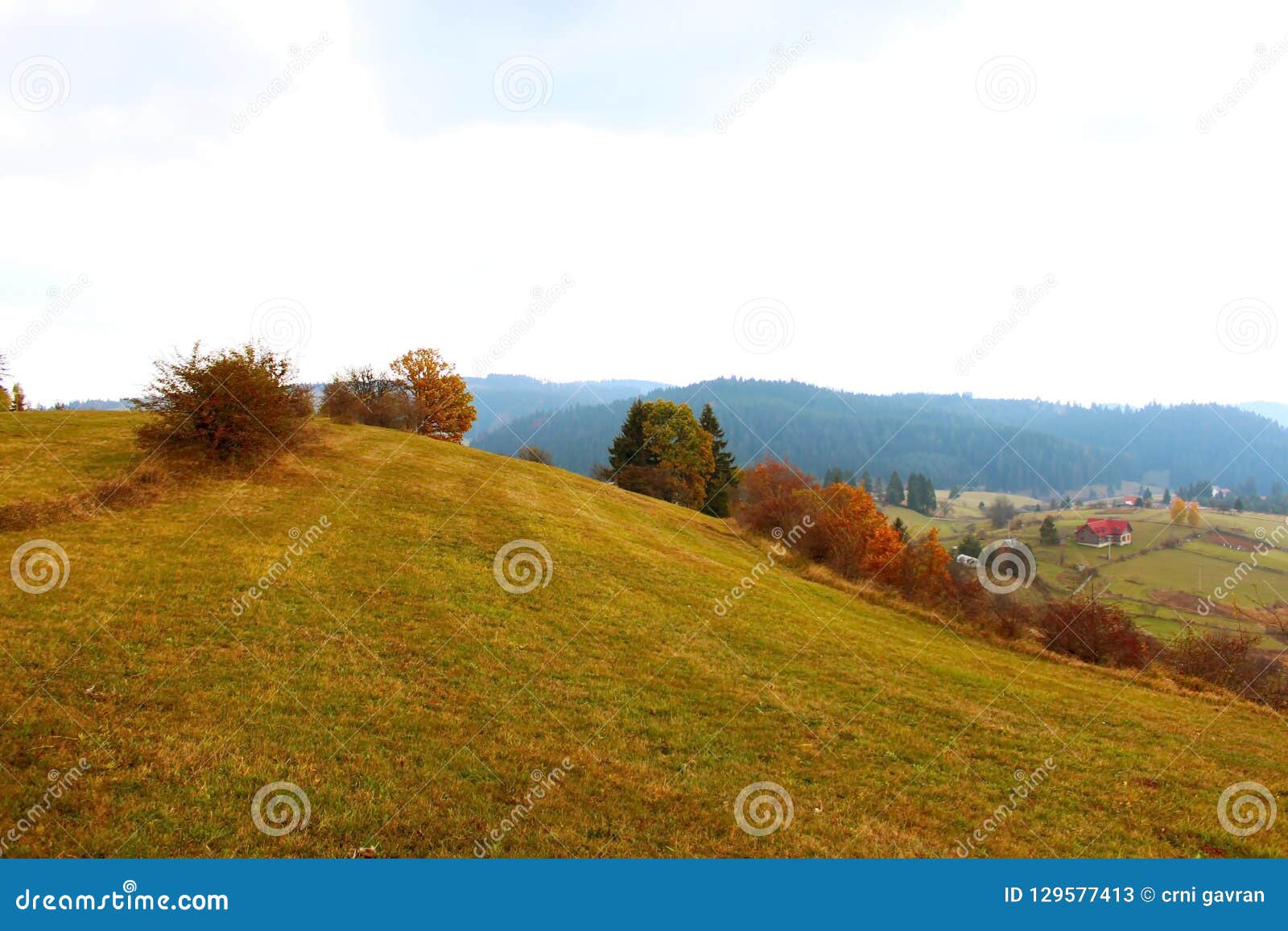 Landscape Trees and Meadows Dotted with Fall Colors. Stock Image ...