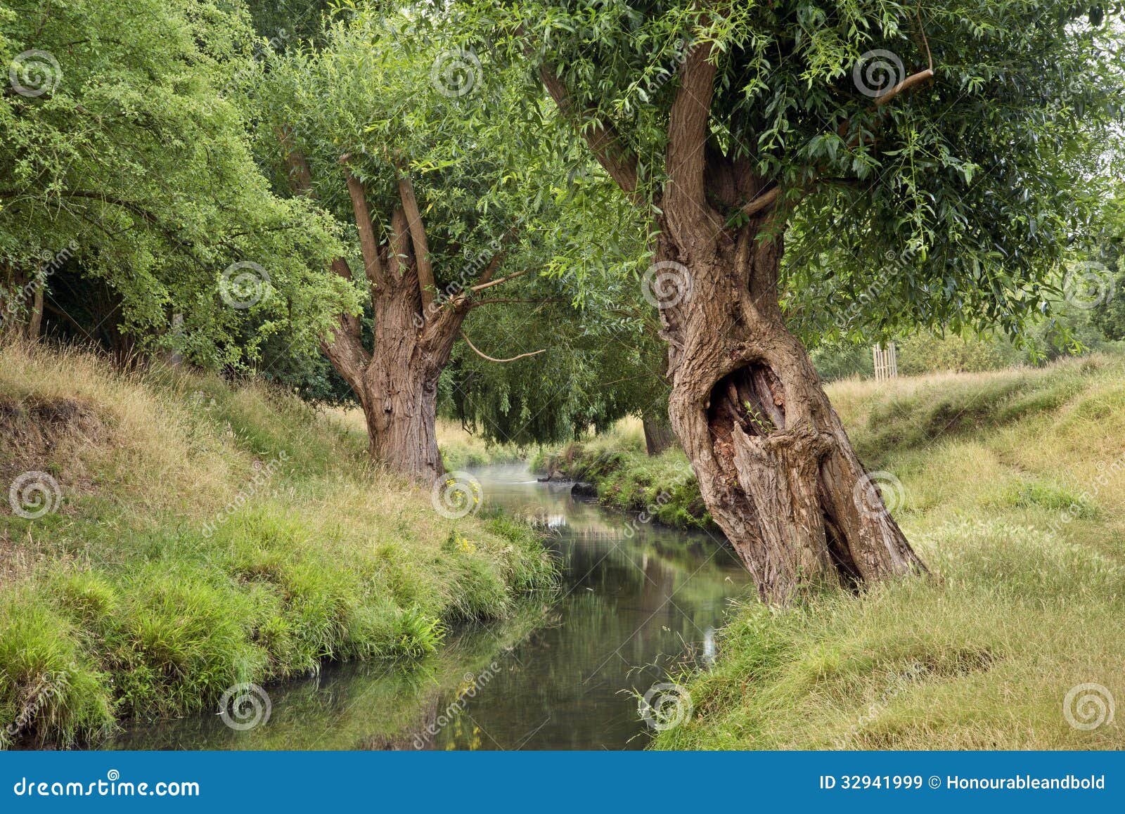 Landscape or Trees Overhanging Summer Stream Reflections at Dawn Stock ...