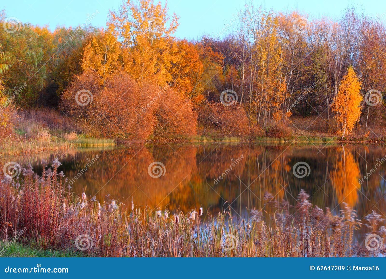 Landscape with Trees Reflecting in a Lake Stock Image - Image of ...