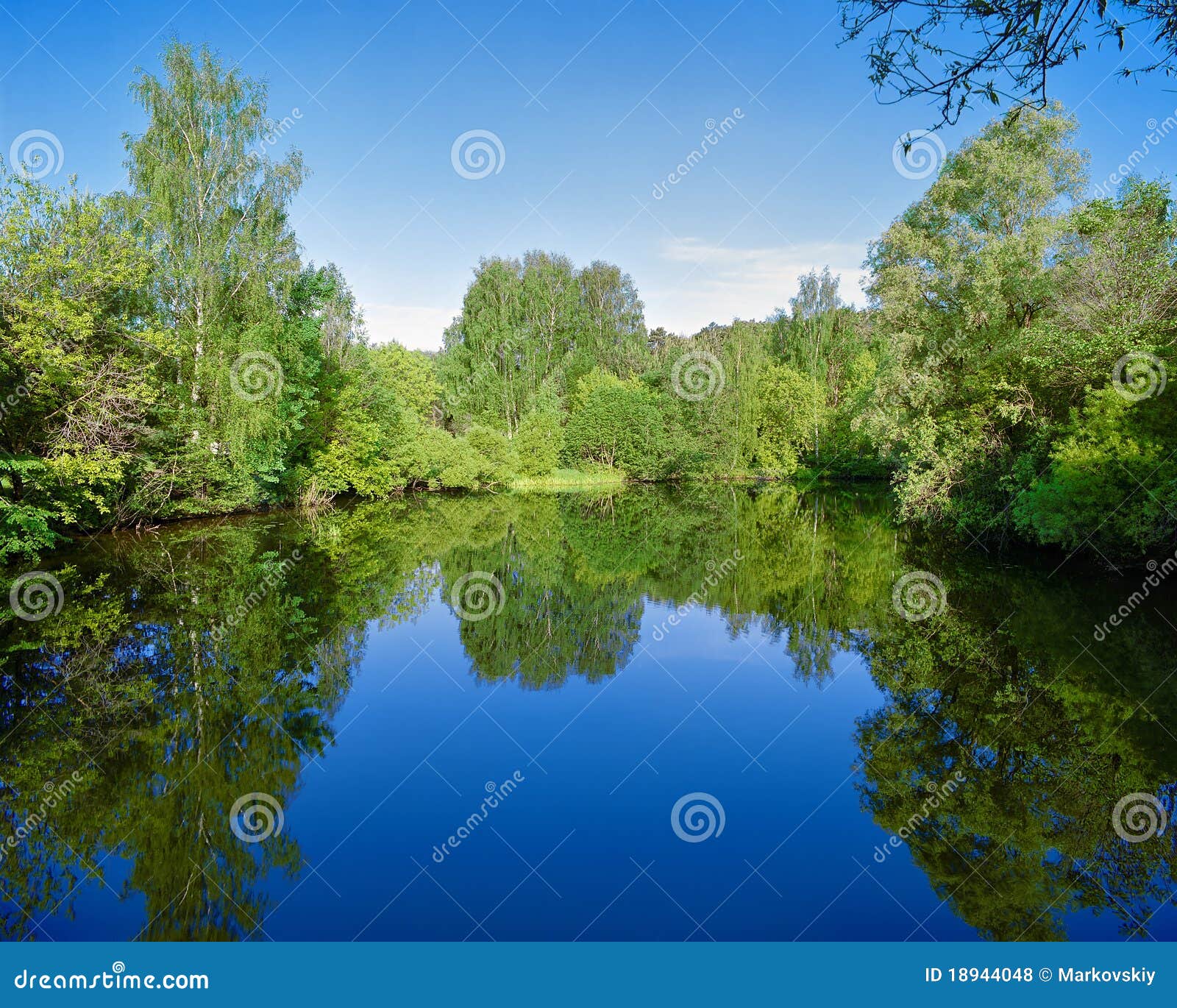 Landscape with Trees, Reflecting in the Water Stock Photo - Image of ...