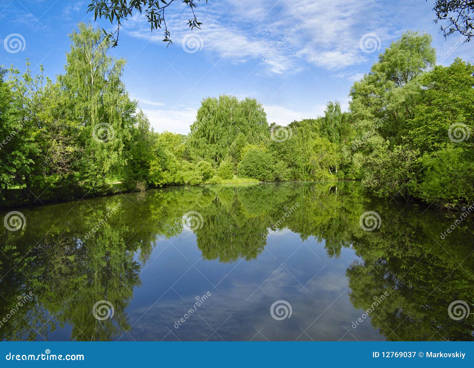 Landscape with Trees on the River Stock Image - Image of leaf ...