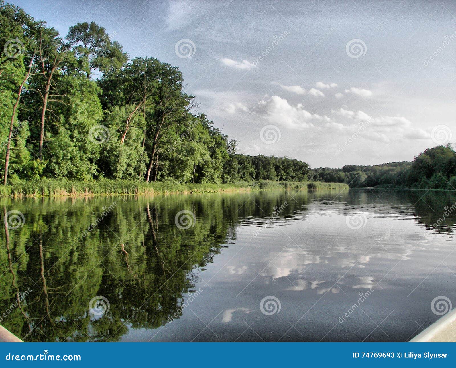 Landscape. Trees and river stock image. Image of contrast - 74769693