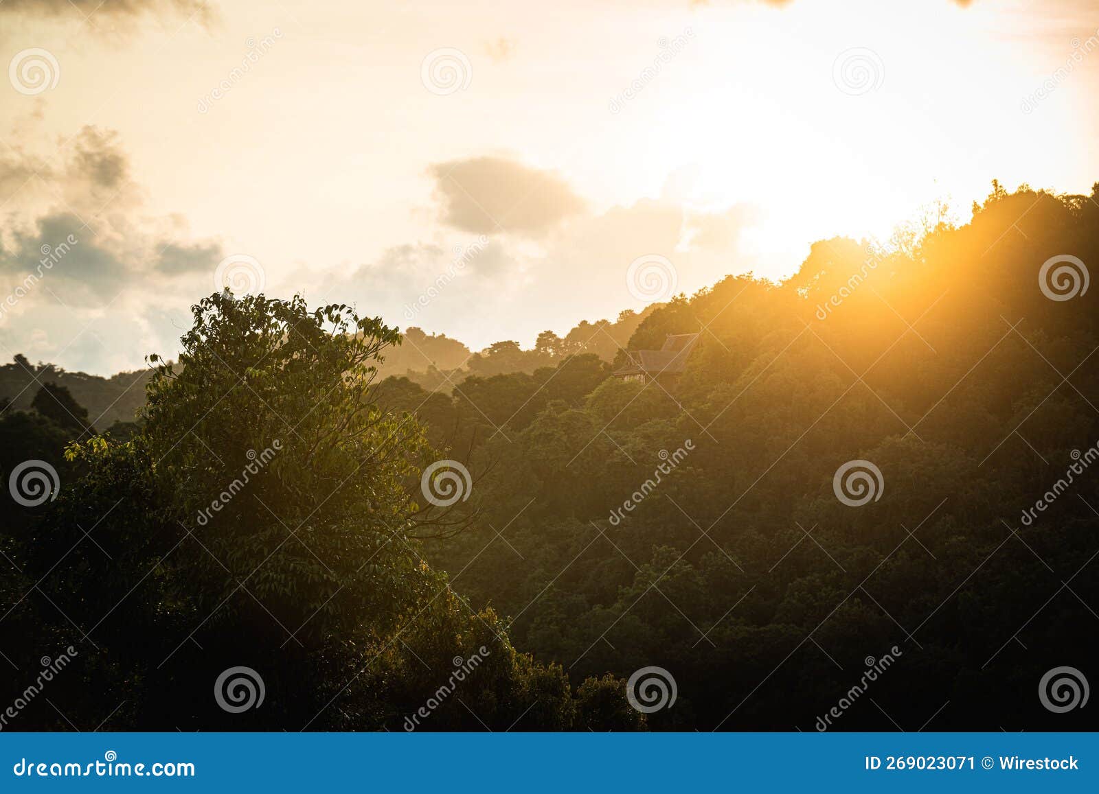 Landscape with Trees and Sunset in the Background Stock Image - Image ...