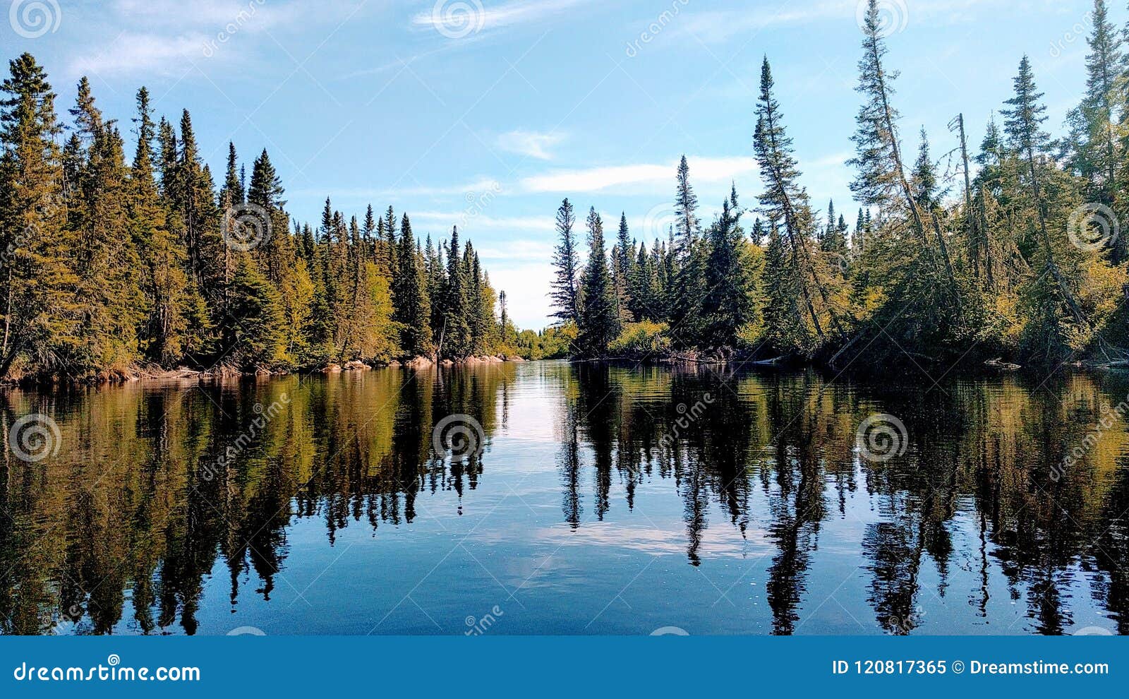 Landscape stock image. Image of trees, forest, water - 120817365