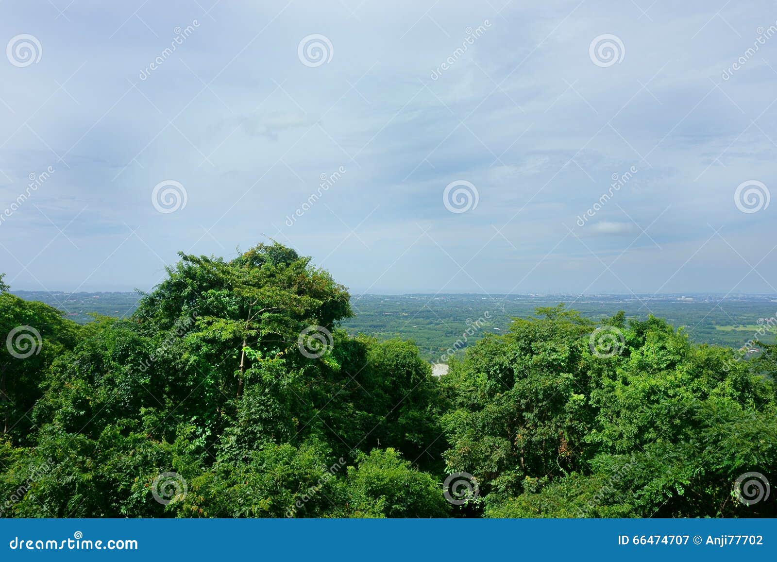 Landscape tropical jungle stock image. Image of cloud - 66474707