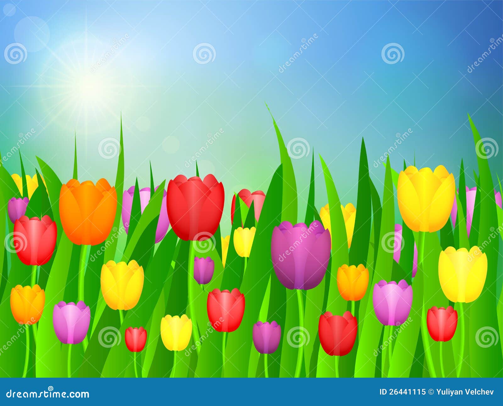 Landscape with tulip stock vector. Illustration of green - 26441115