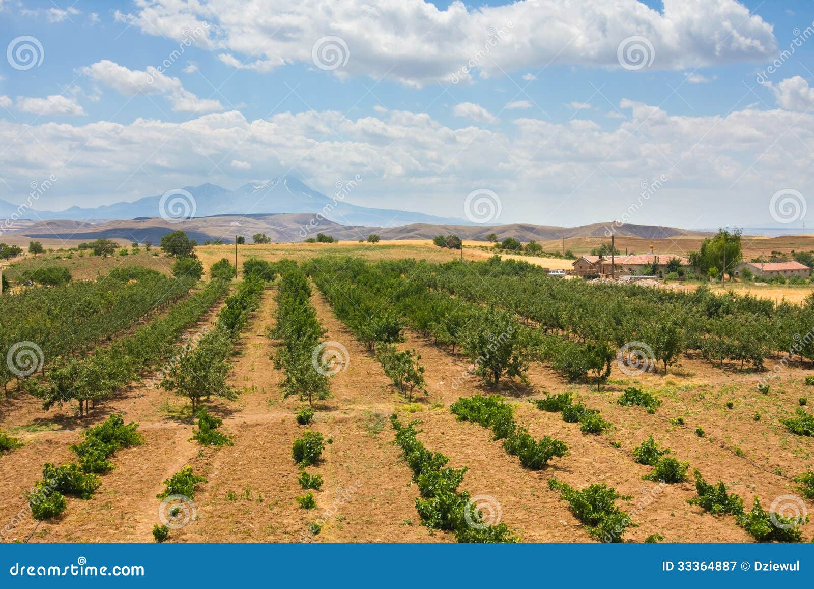 Landscape, Turkey stock image. Image of growing, industry - 33364887