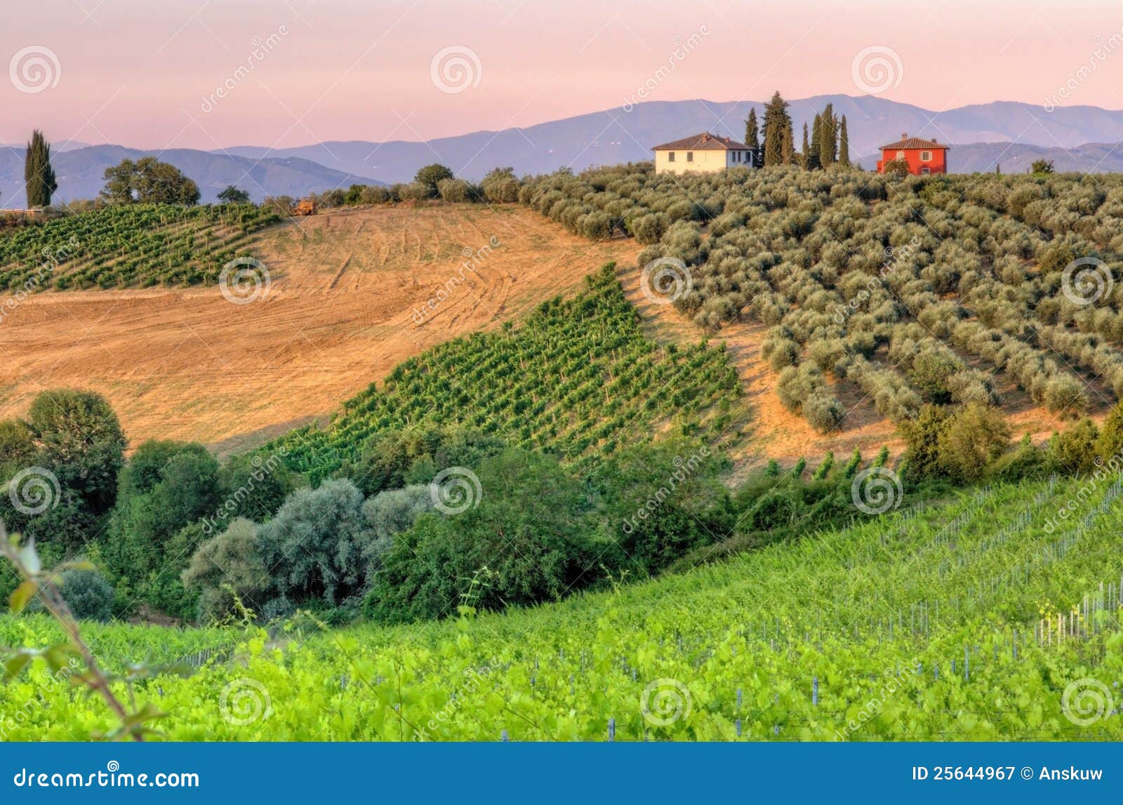 Landscape in Tuscany Evening Sun Stock Image - Image of house, italian ...