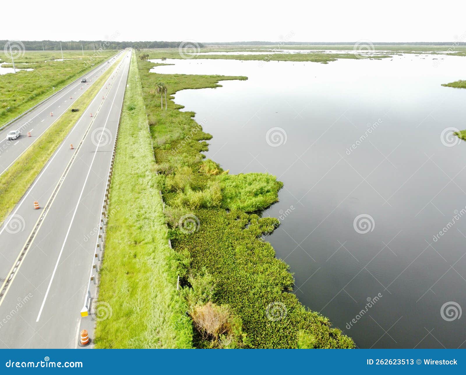 Landscape of a Two-lane Road Over the Water Surrounded by Greenery ...