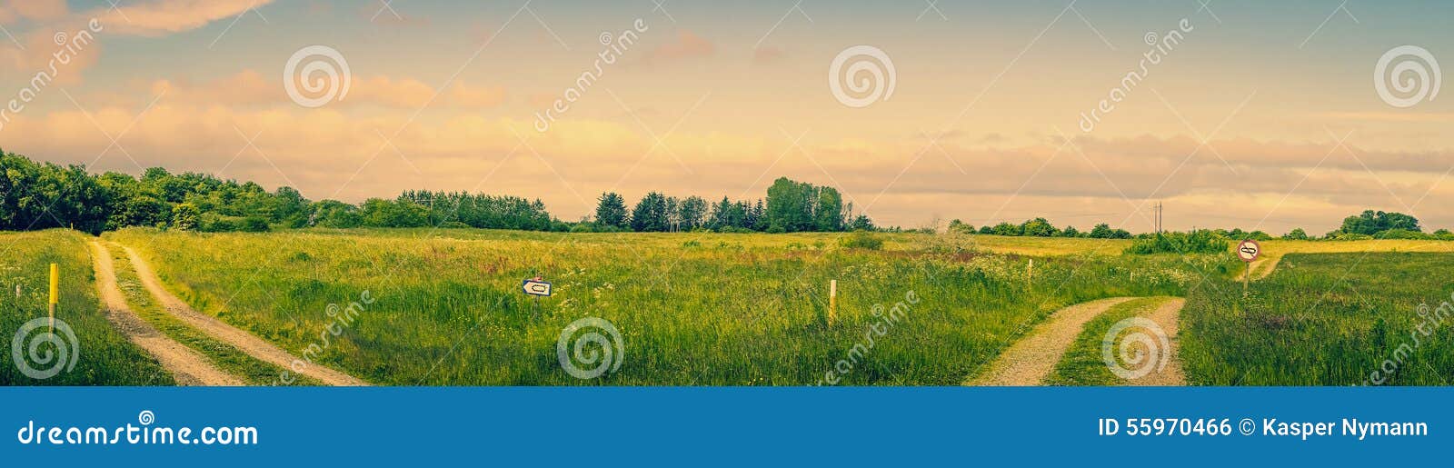 Landscape with two roads stock photo. Image of color - 55970466